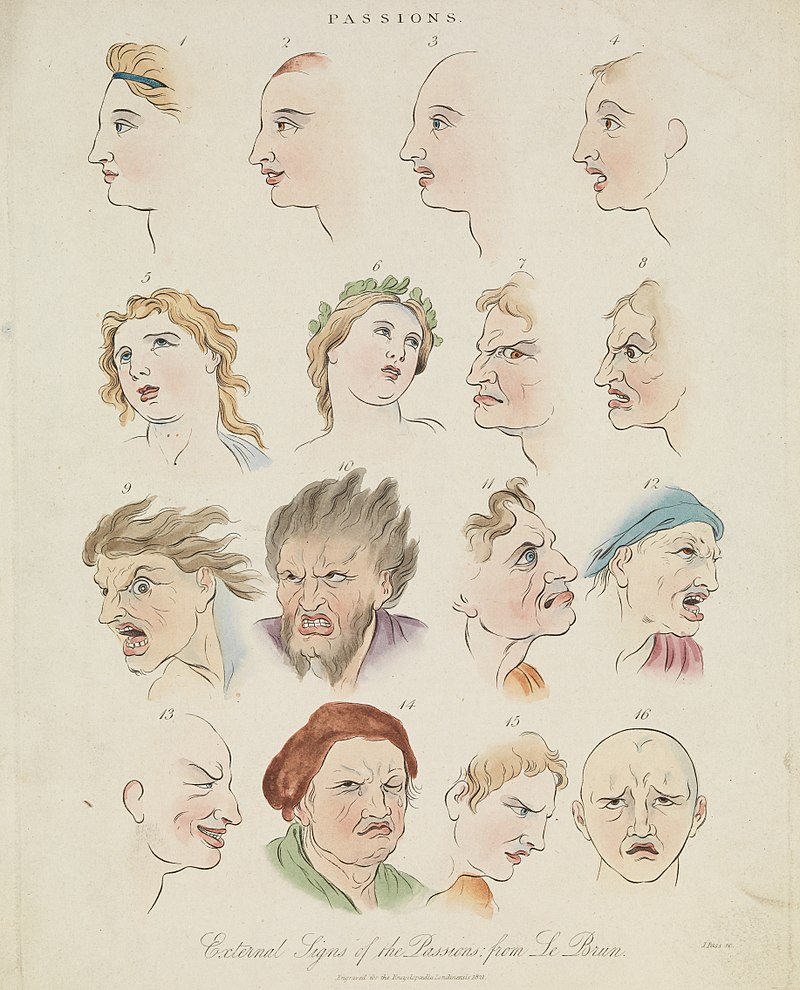 An Introduction to the History of Emotions | The York Historian
