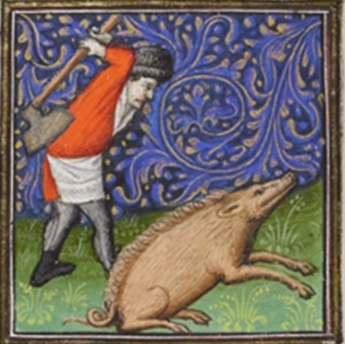 The Pig’s Peasant: Swine Herding in Anglo-Saxon England | The York ...